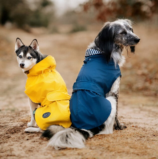 Pláštenky – We love dogs SK