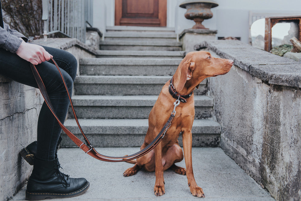 Mikiny – We love dogs SK